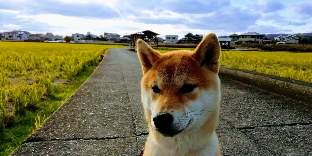 OverTheWire で楽しくLinuxを学ぶ | TRIVILL*log